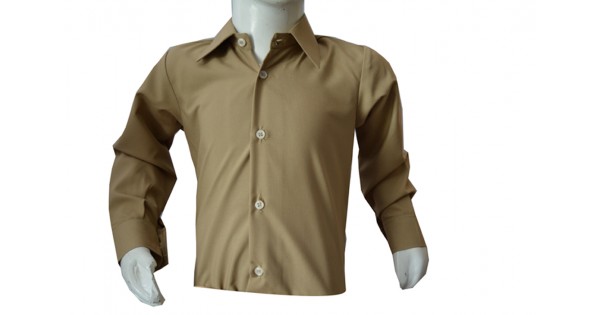 Girls Blouse (Roots International School)